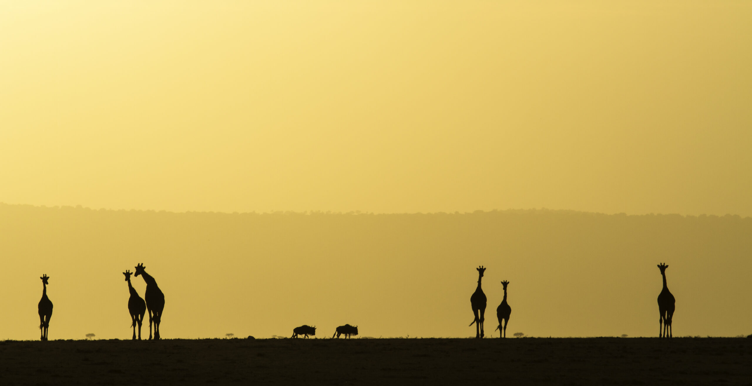 Contact Nomadic Africa - Nomadic Africa